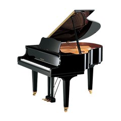 Music Junction - Australia's Favourite Music Store