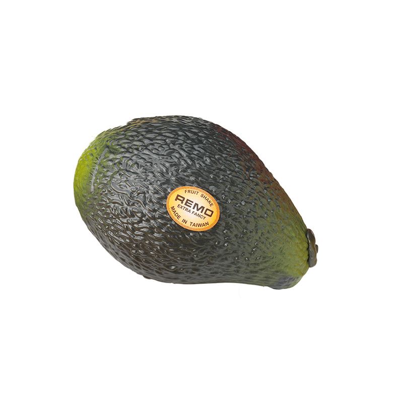 Remo Musical Fruit Shakers